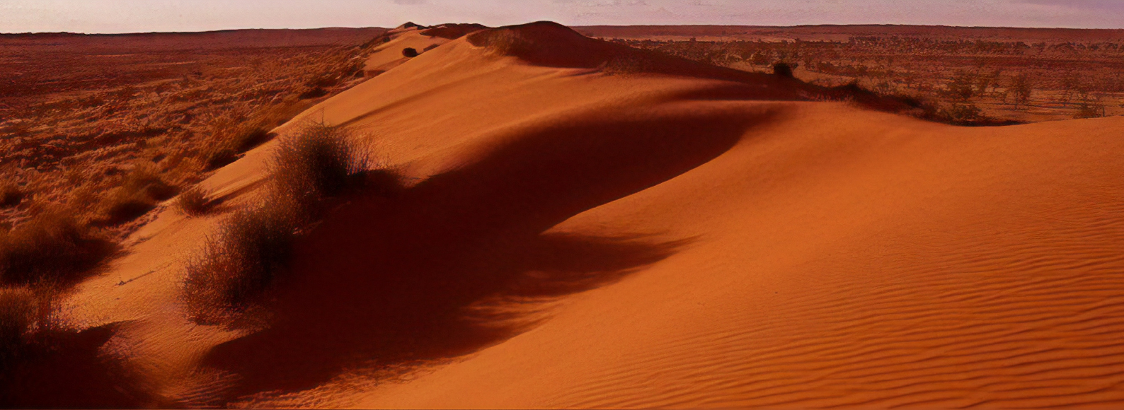 Corner Country - iconic Australia Outback Tour ⎮Nature Bound Australia